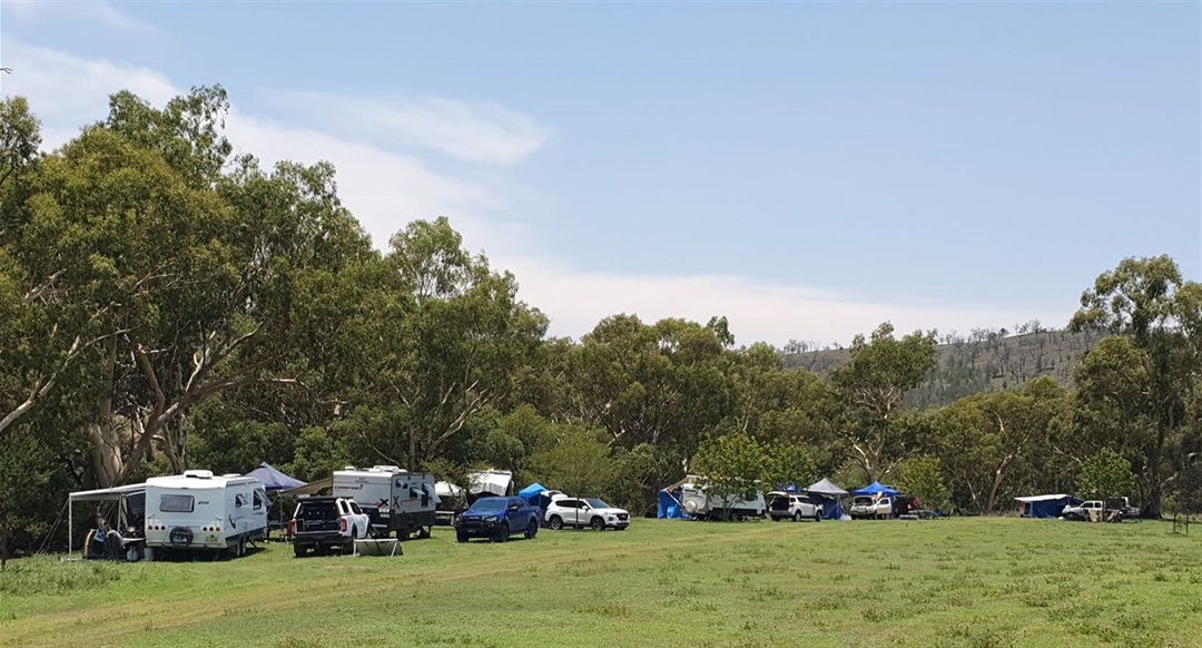 Wongalea Fishing and Camping | Goondiwindi Region