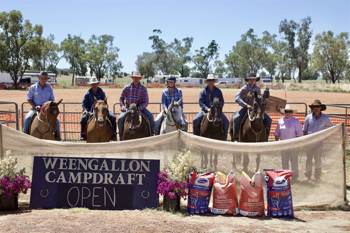 Weengallon Campdraft & Rodeo | Goondiwindi Region