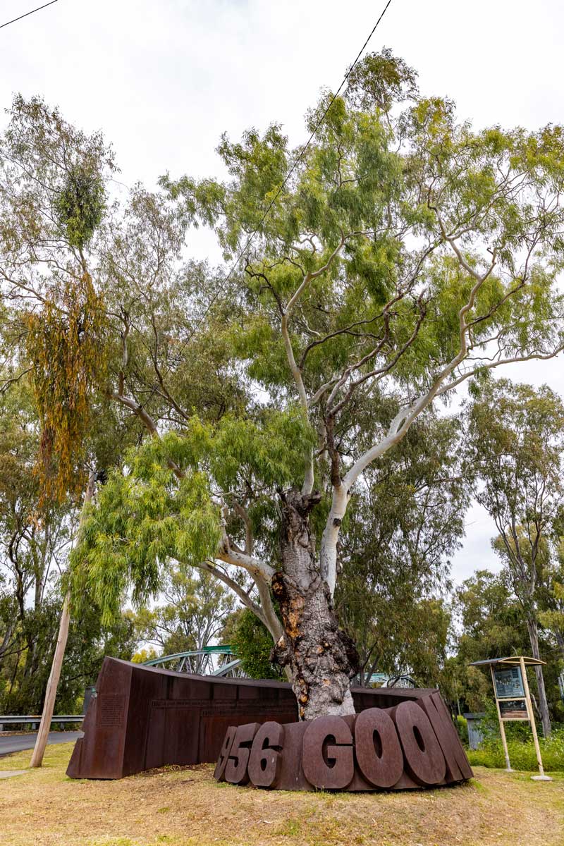 History and Heritage Hunt | Goondiwindi Region
