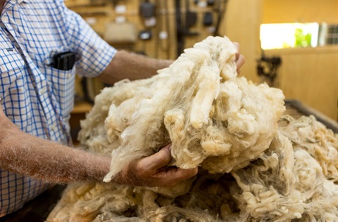 Downloadable maps & guides | Goondiwindi Region