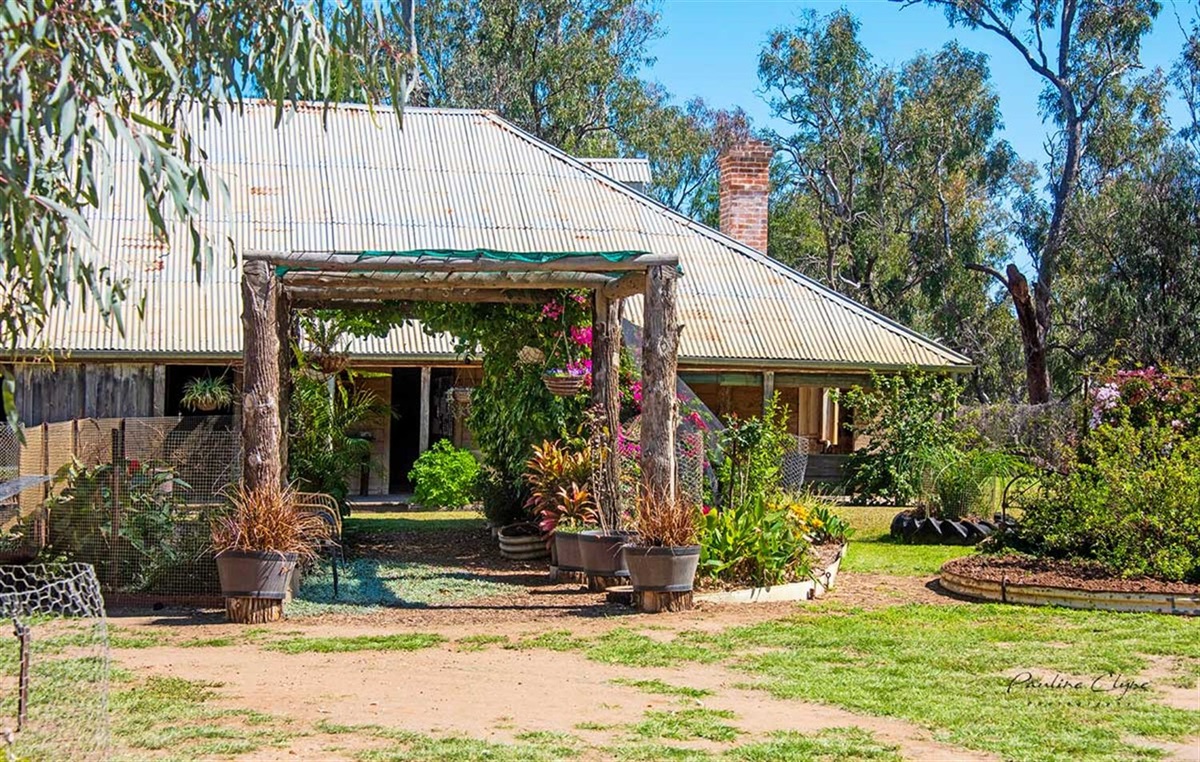 Western Road Trip | Goondiwindi Region